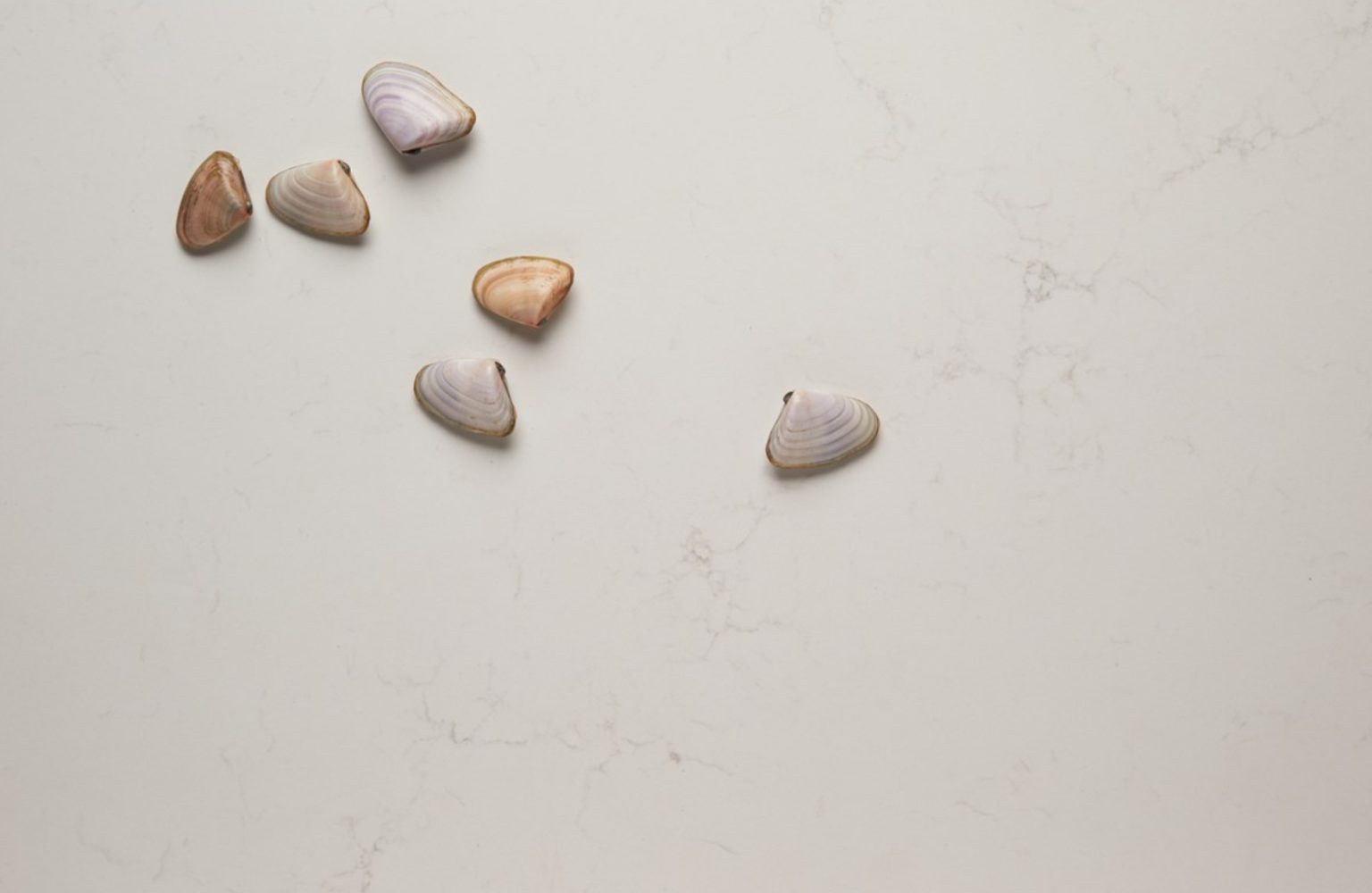 Michelangelo Quantum Zero Off Cut Slab Polished